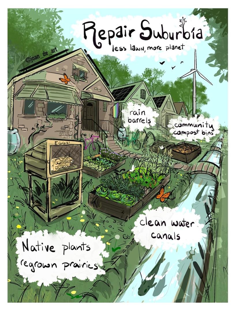 Solarpunk: Radical Hope - Resilience