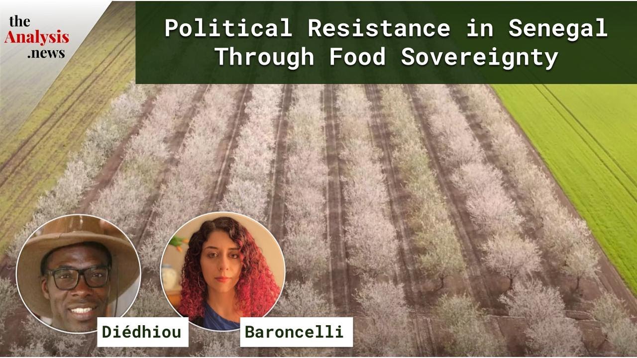 Political Resistance in Senegal Through Food Sovereignty - ZNetwork