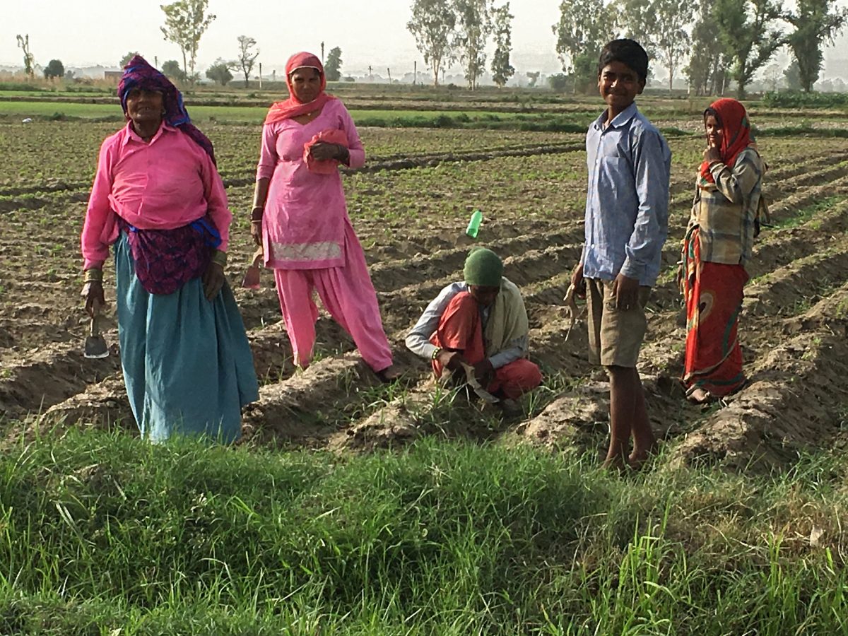 The Fight Against Caste Oppression Can Unite Indian Workers - ZNetwork