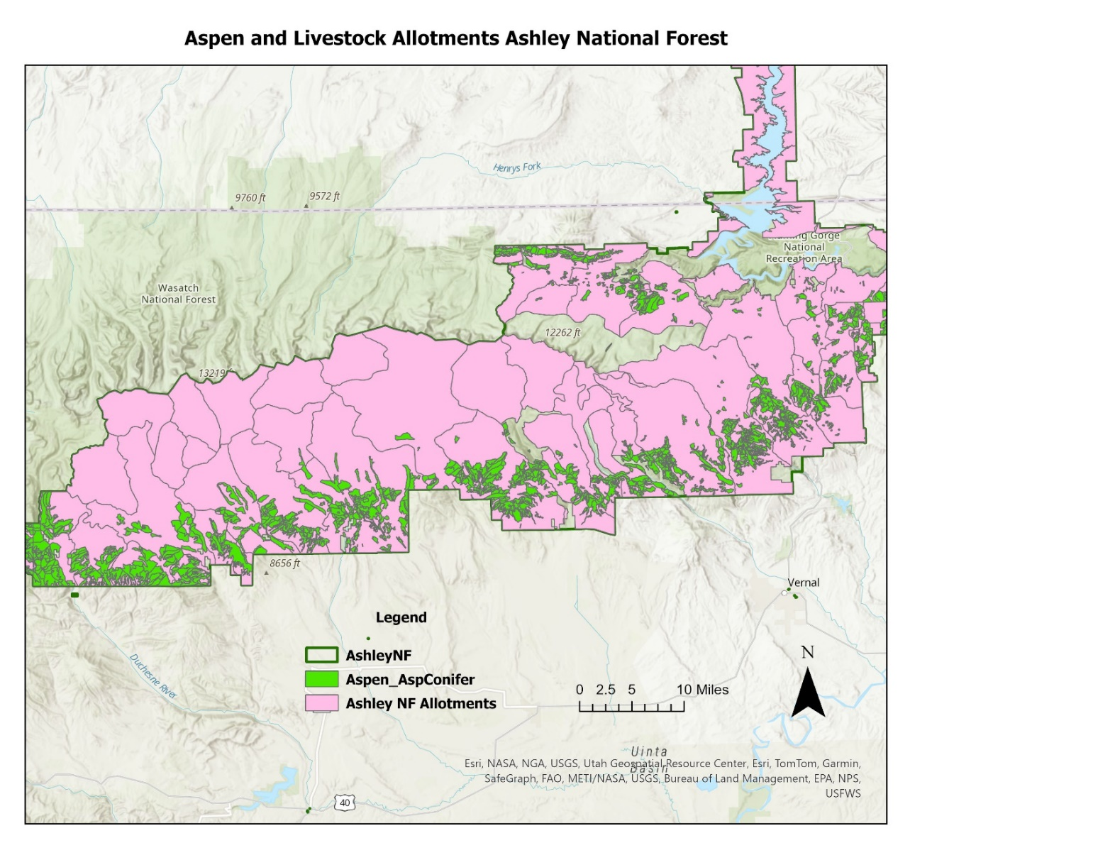 Climate Breakdown: Losing Our Aspen Forests in the West - ZNetwork