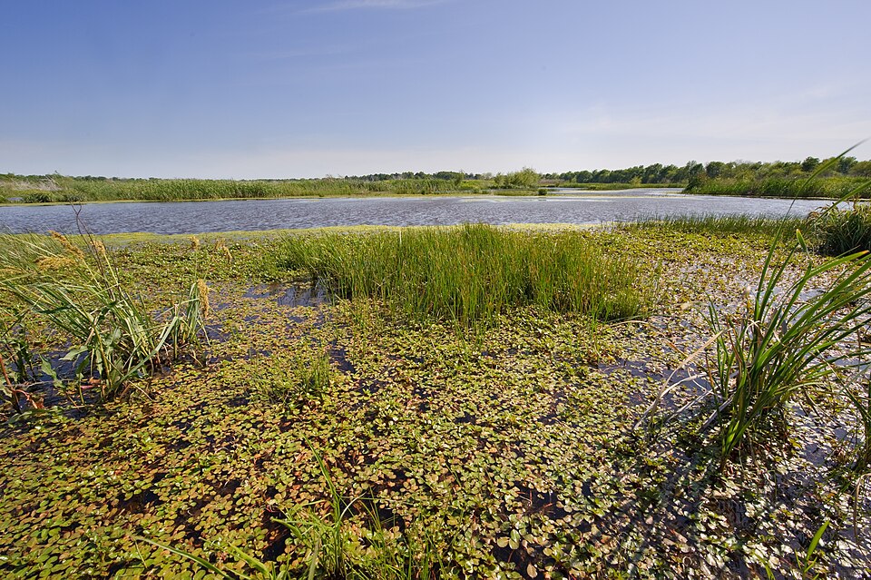 As Trump Administration Guts Environmental Regulations, Local ...